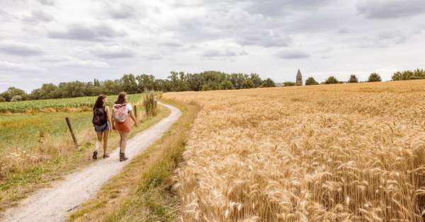 Ieperboog Oost verkozen tot Hicle Wandelroute van het Jaar 2025